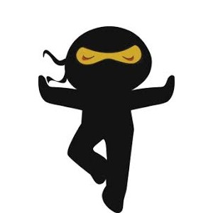 Comprehension Ninja - Peters