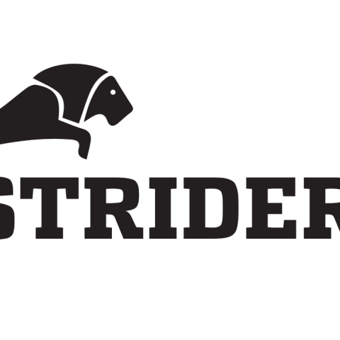 Striders Phonics Readers - Peters