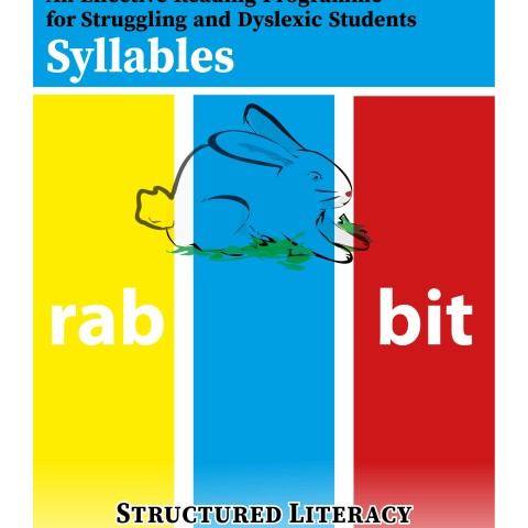 How Dcode Dyslexia can support the reading journey, with Mary Moran - Peters