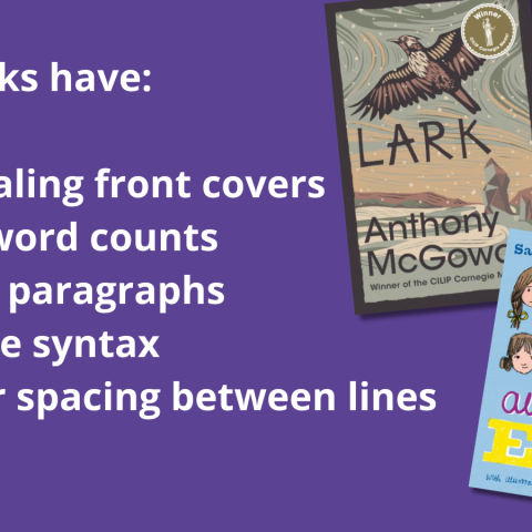HiLo | Reading Schemes For UK Primary Schools Curriculum - Peters